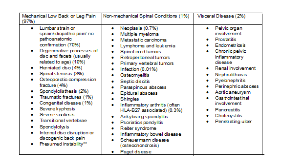 General Guideline Principles for Red Flags for workers compensation ...