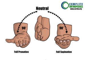 Workers compensation Scheduled Loss of Use for Hand and Wrist | Best ...